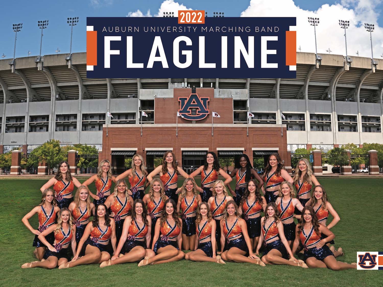 Marching Band Twirling Flags